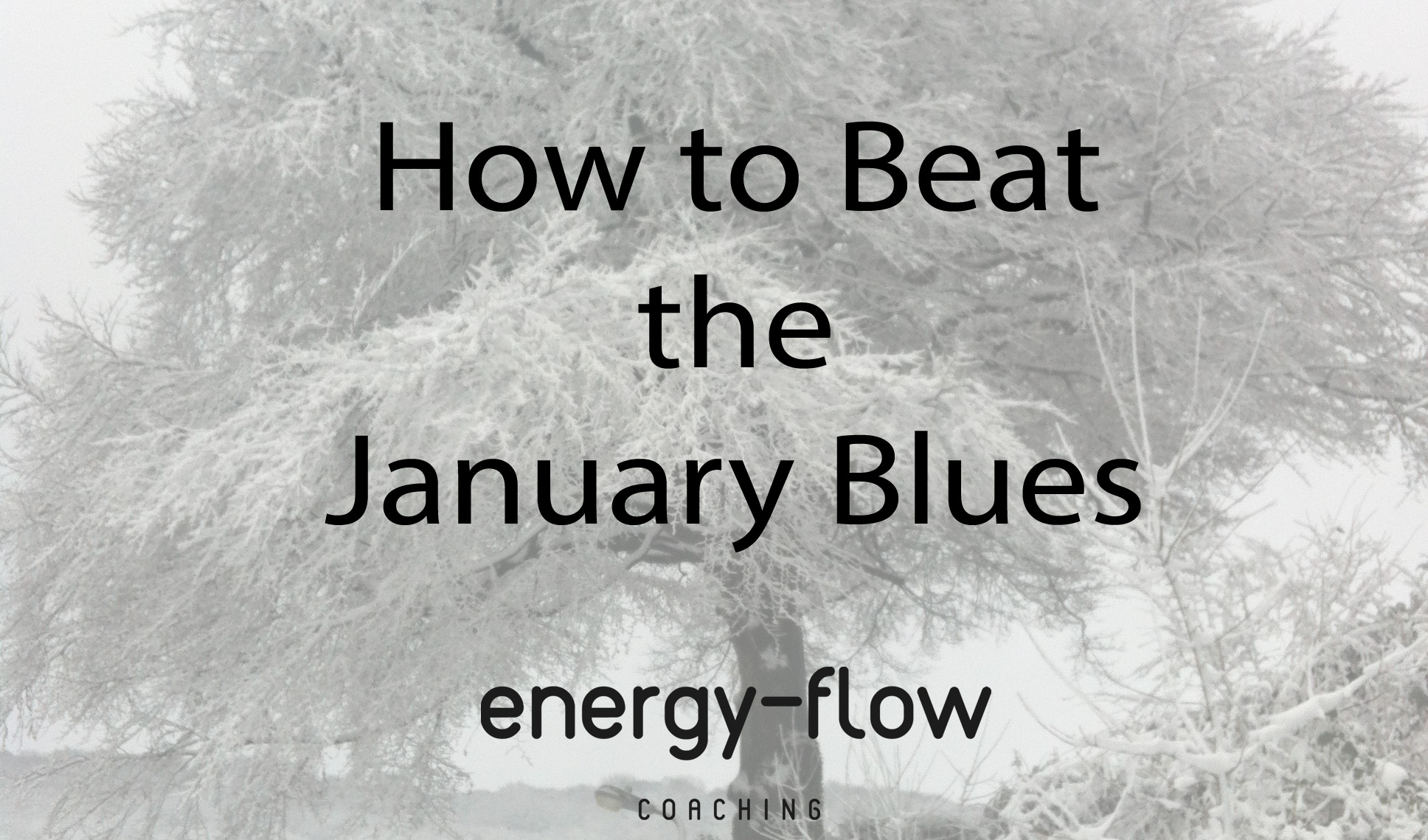 How to Beat the January Blues - Energy-Flow Coaching : Energy-Flow Coaching