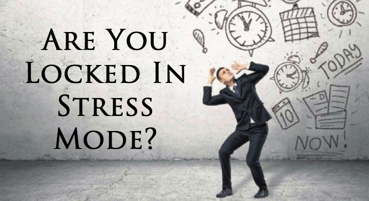 Are You Locked In Stress Mode? - Energy-Flow Coaching : Energy-Flow ...